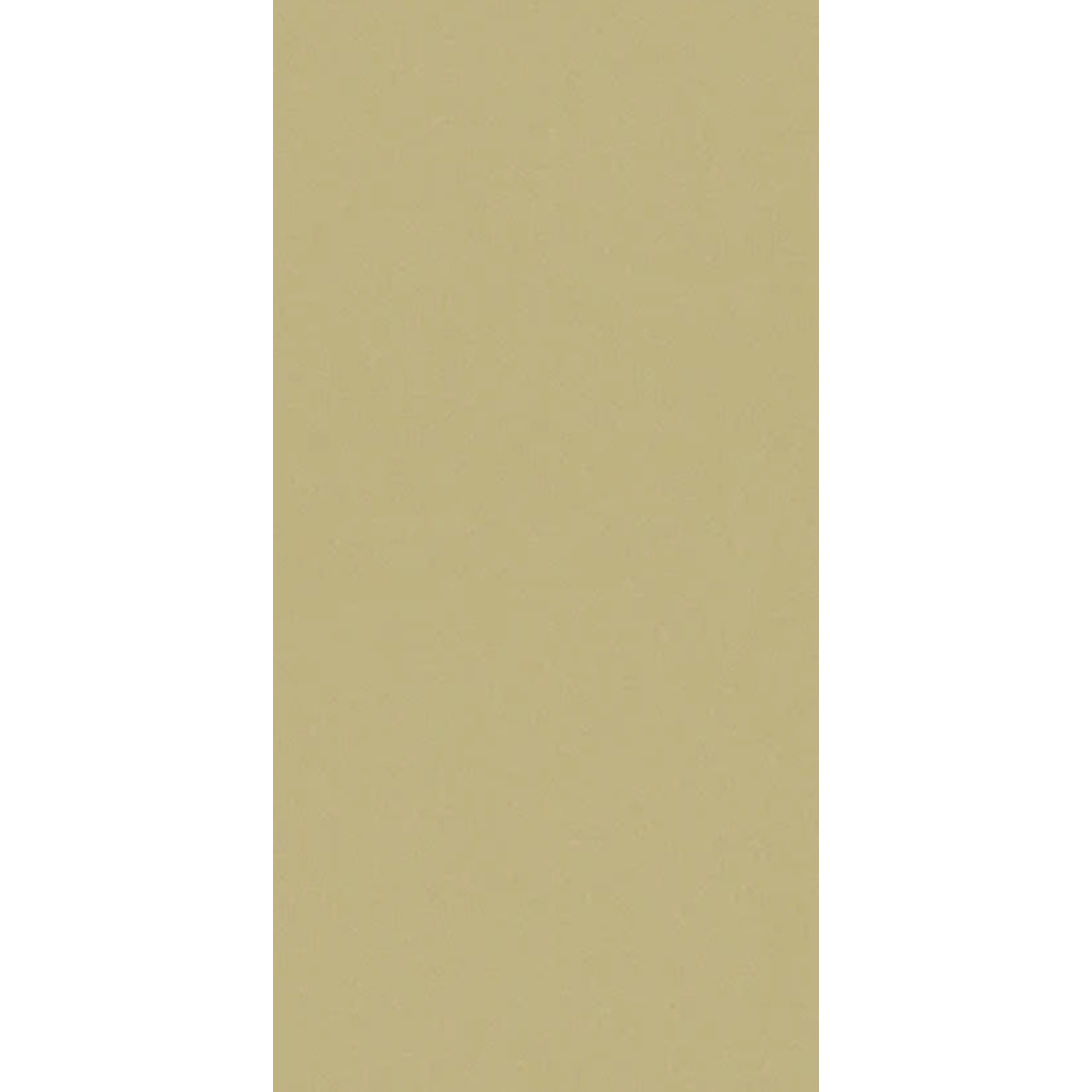 Beige Metallic 7499 | AM 1800 TopX MET | Acrylic Board By Akij Board