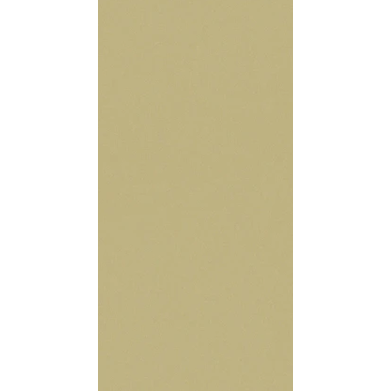 Beige Metallic 7499 | AM 1800 TopX MET | Acrylic Board By Akij Board